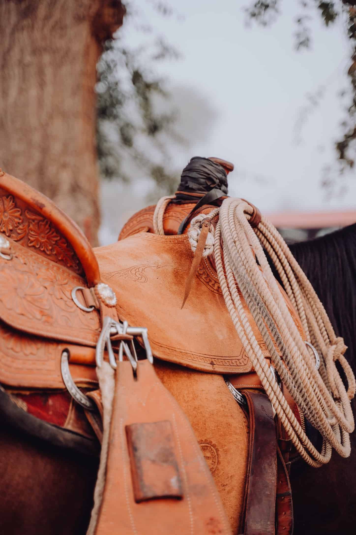 How To Get Started In Roping - COWGIRL Magazine