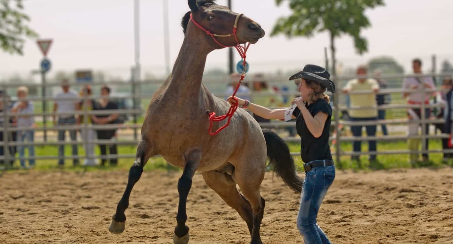 Calming The Anxious Horse - COWGIRL Magazine