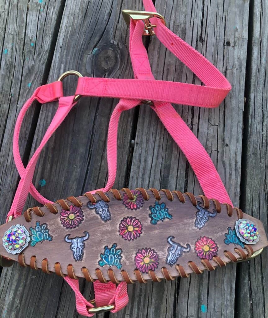 6 Stunning Halters For Your Western Horse - COWGIRL Magazine