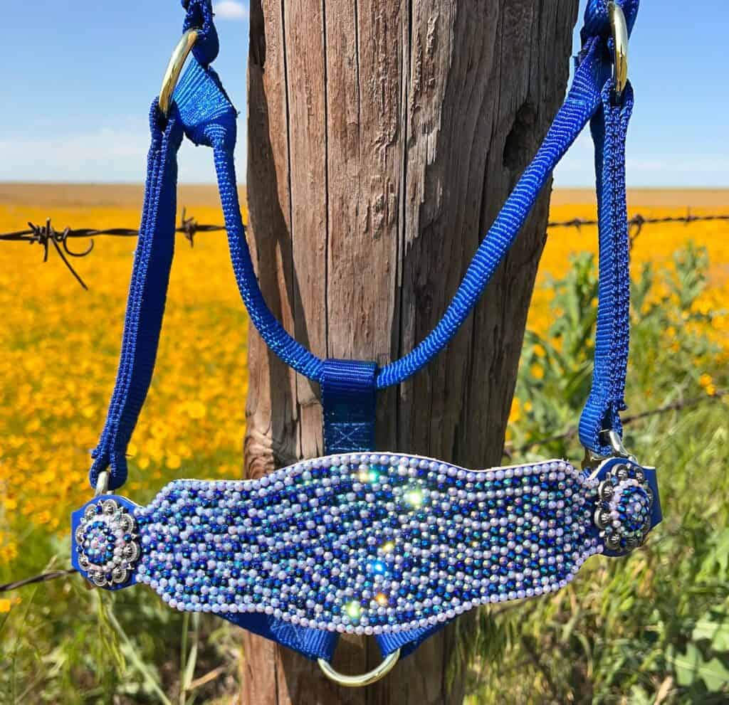 6 Stunning Halters For Your Western Horse - COWGIRL Magazine