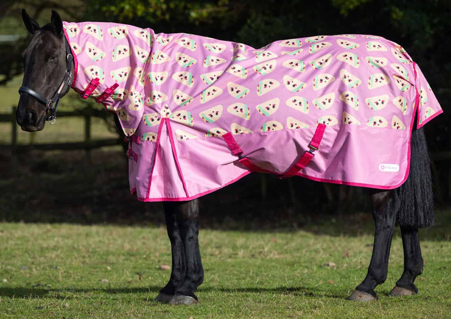 Colorful Rain Sheets For Those Wet Days - COWGIRL Magazine