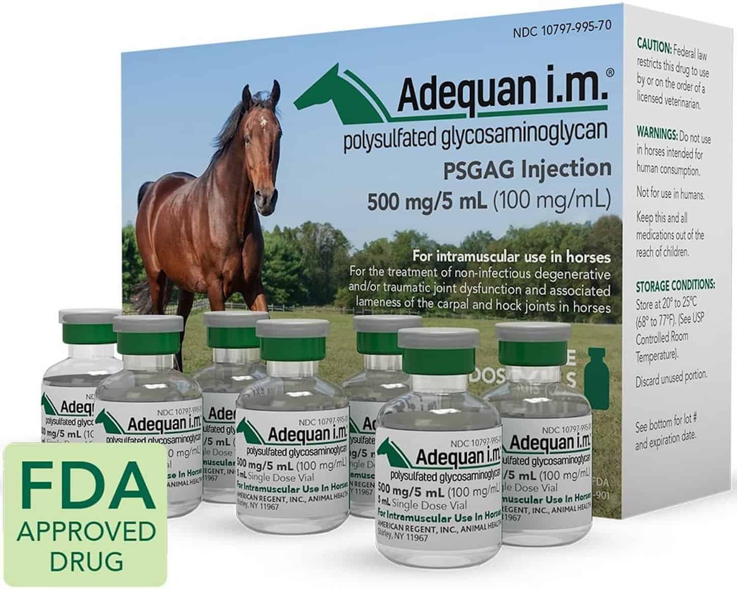 5 Facts About Adequan For Horses - COWGIRL Magazine