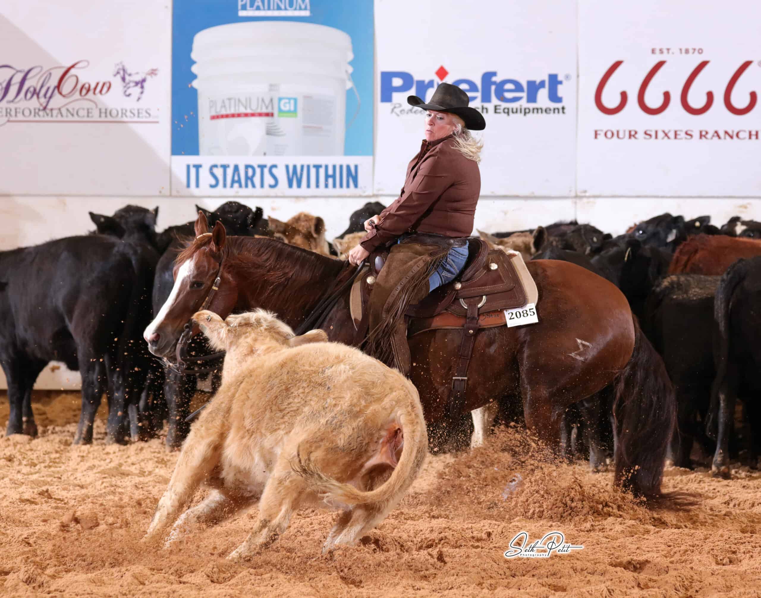 Cowgirls Take Over The 2023 NCHA Broke Spur Ranch World Finals