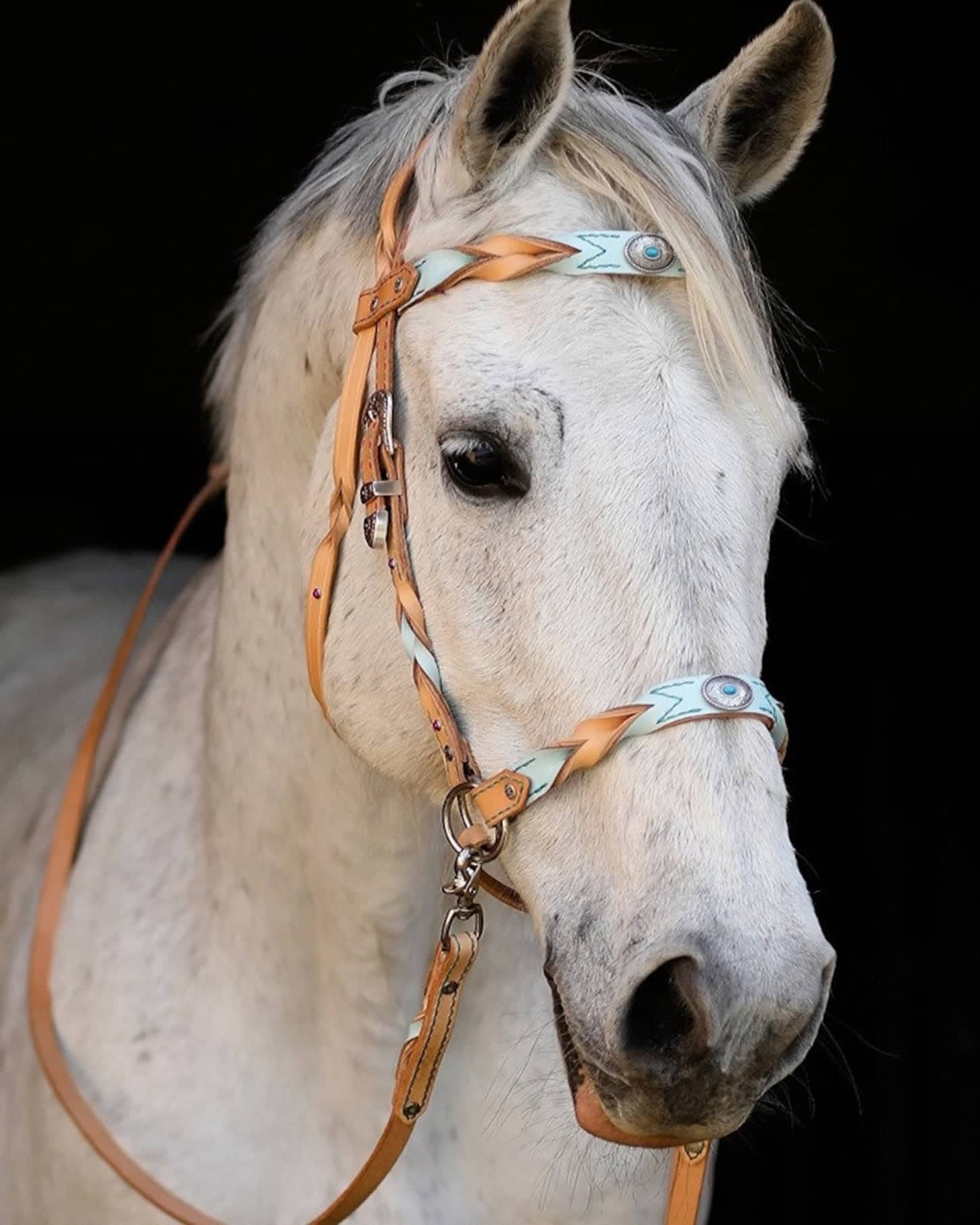 Skip The Bit And Get A Sidepull Bridle - COWGIRL Magazine