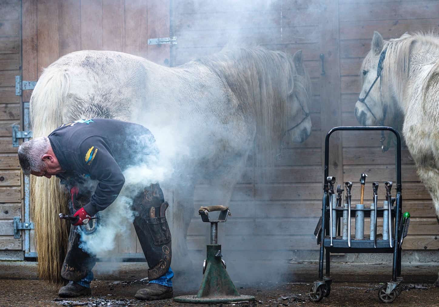 5 Red Flags Of A Bad Farrier - COWGIRL Magazine