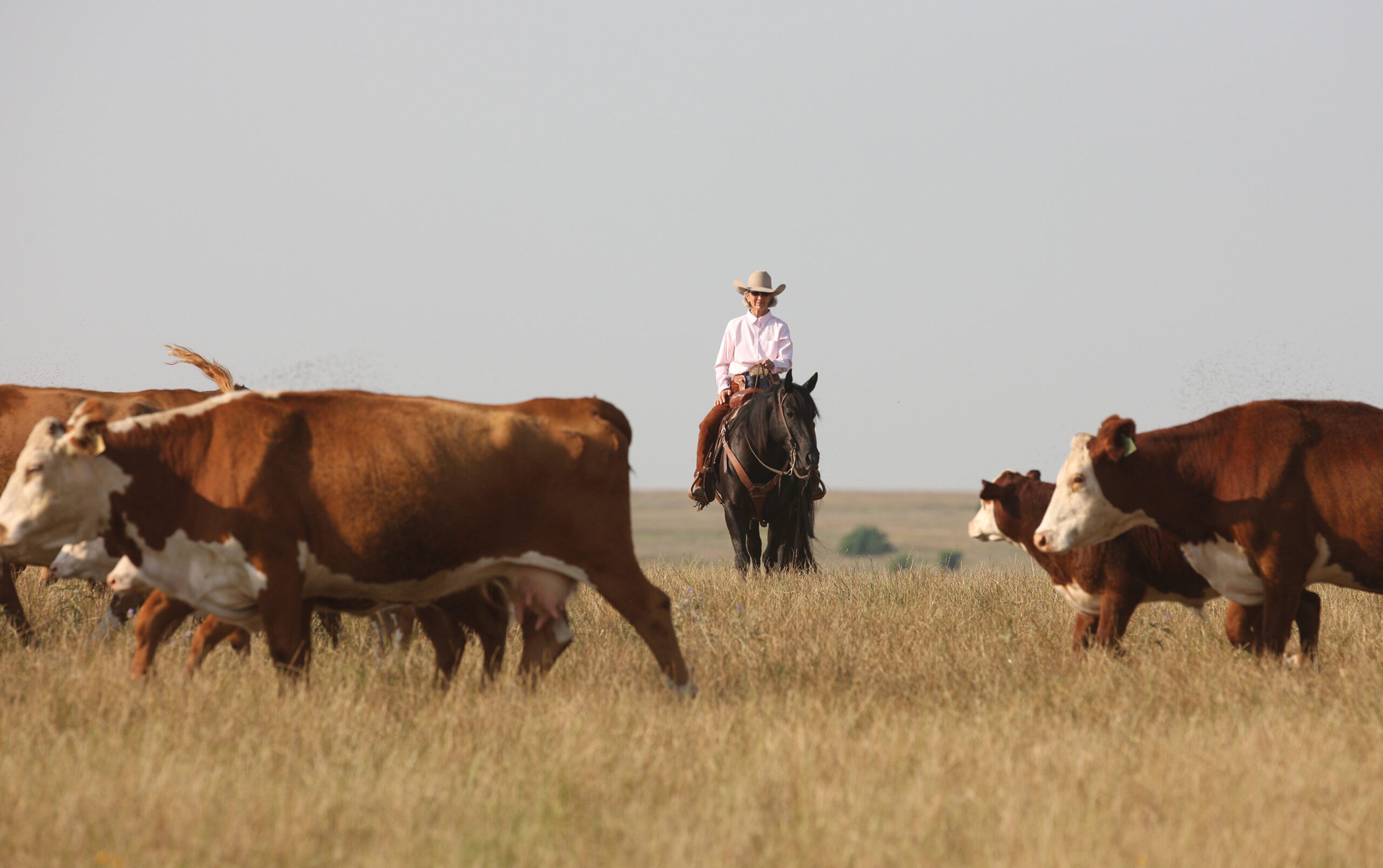 Generational Rancher - COWGIRL Magazine