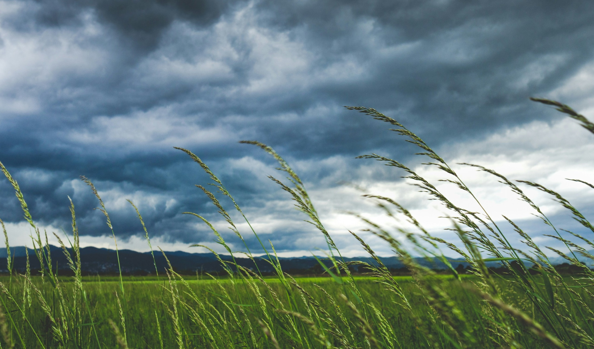 Top Tips For Riding On Windy Days