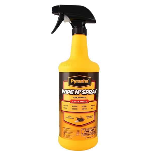 Prevent Fly Problems Before It's Too Late - COWGIRL Magazine