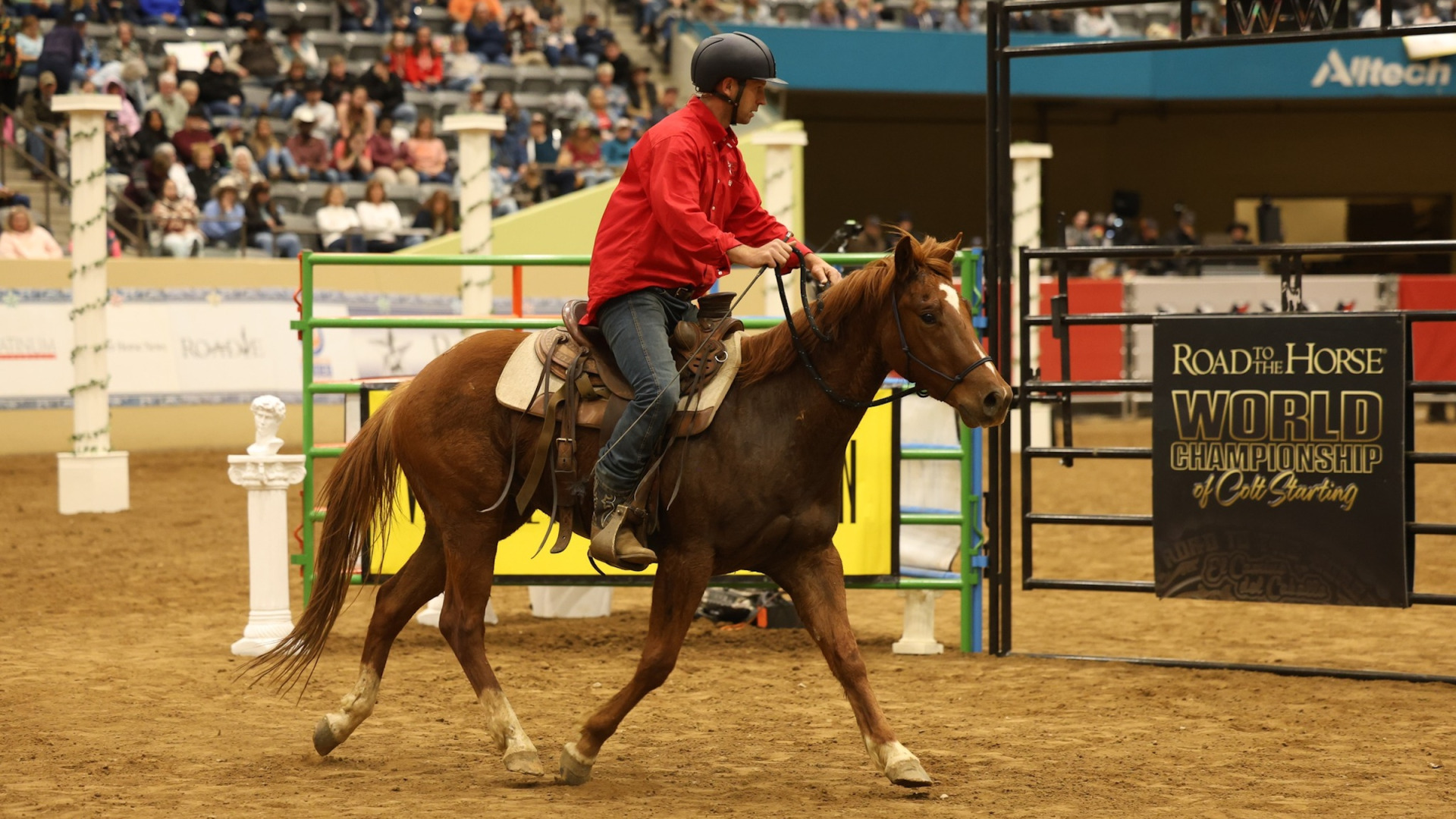 Introducing The 2024 Road To The Horse Winner, Tik Maynard