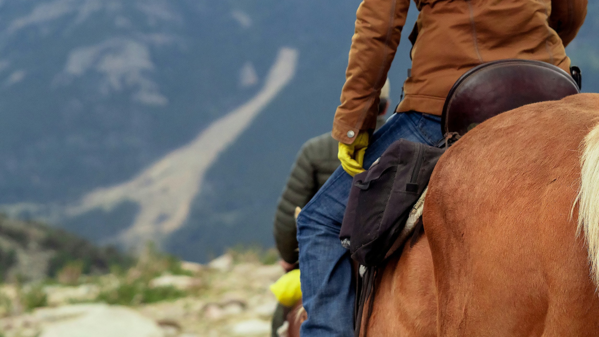 5 Horse Breeds Perfect For Trail Riding