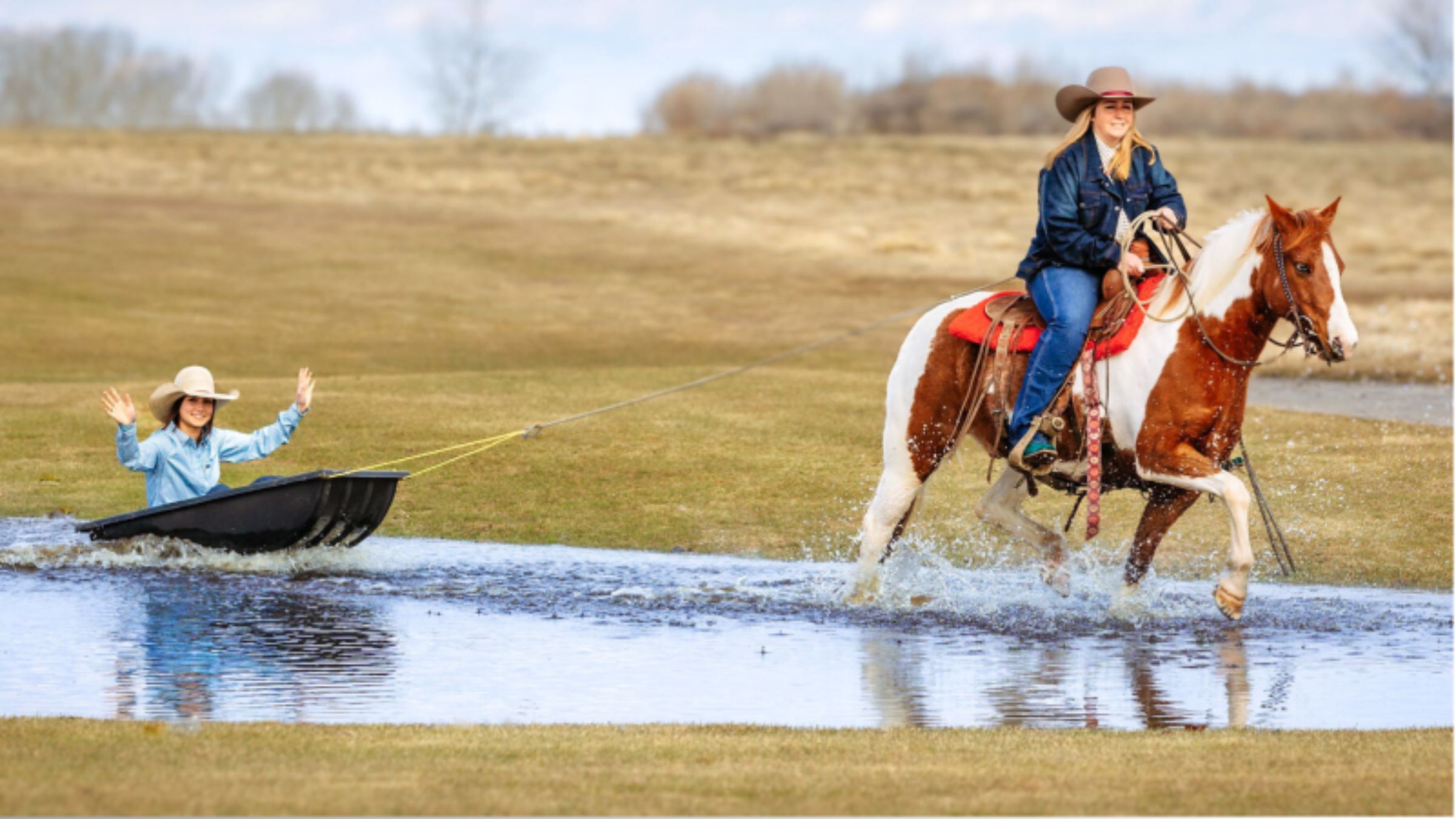 5 Horses From The Cowgirl Cadillacs Sale We Wish We Could Buy