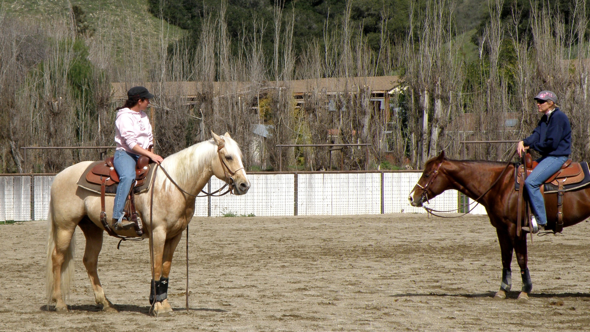 The Fundamentals Of Ranch Sorting