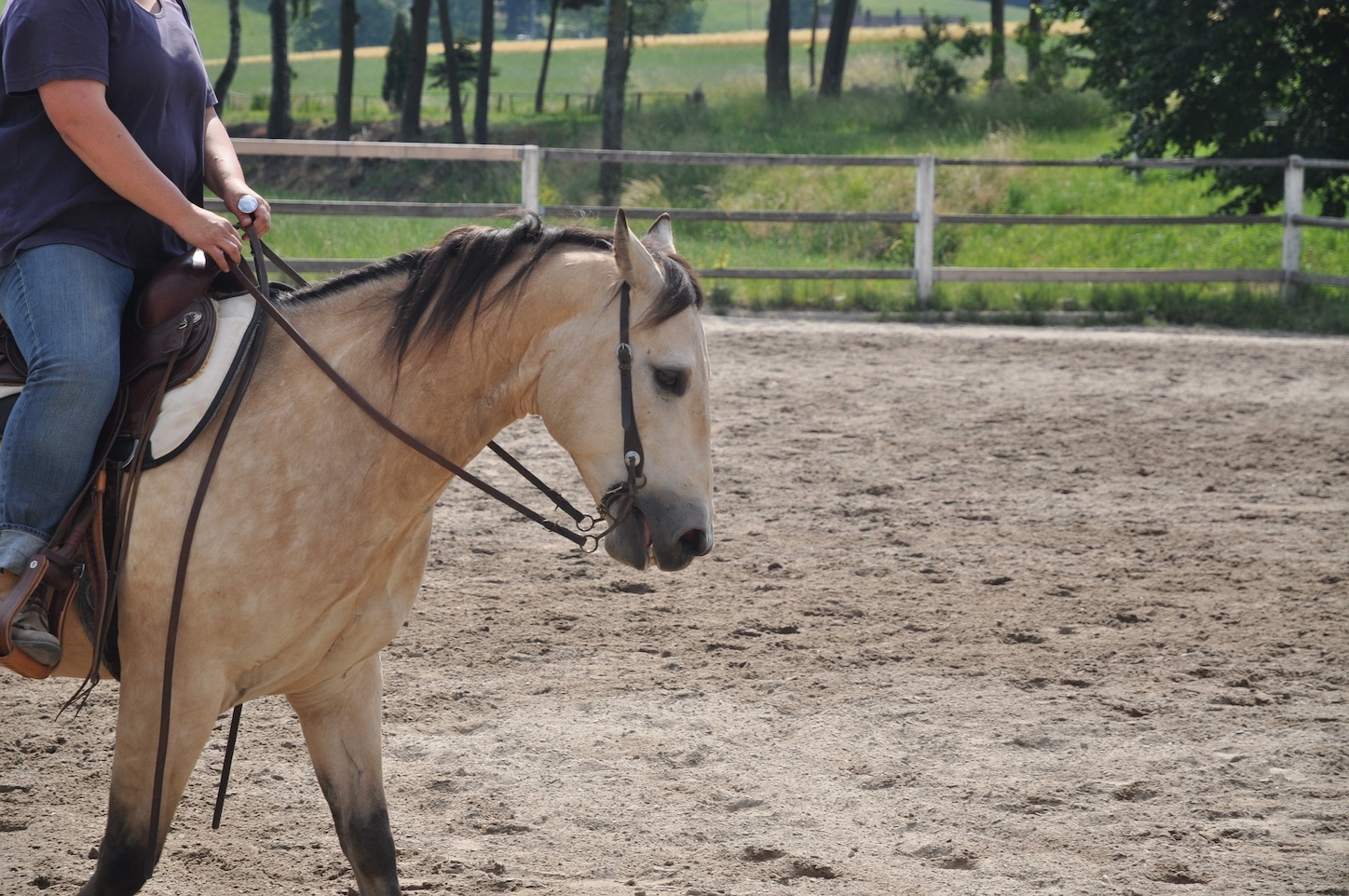 10 Tips For The Perfect Riding Arena