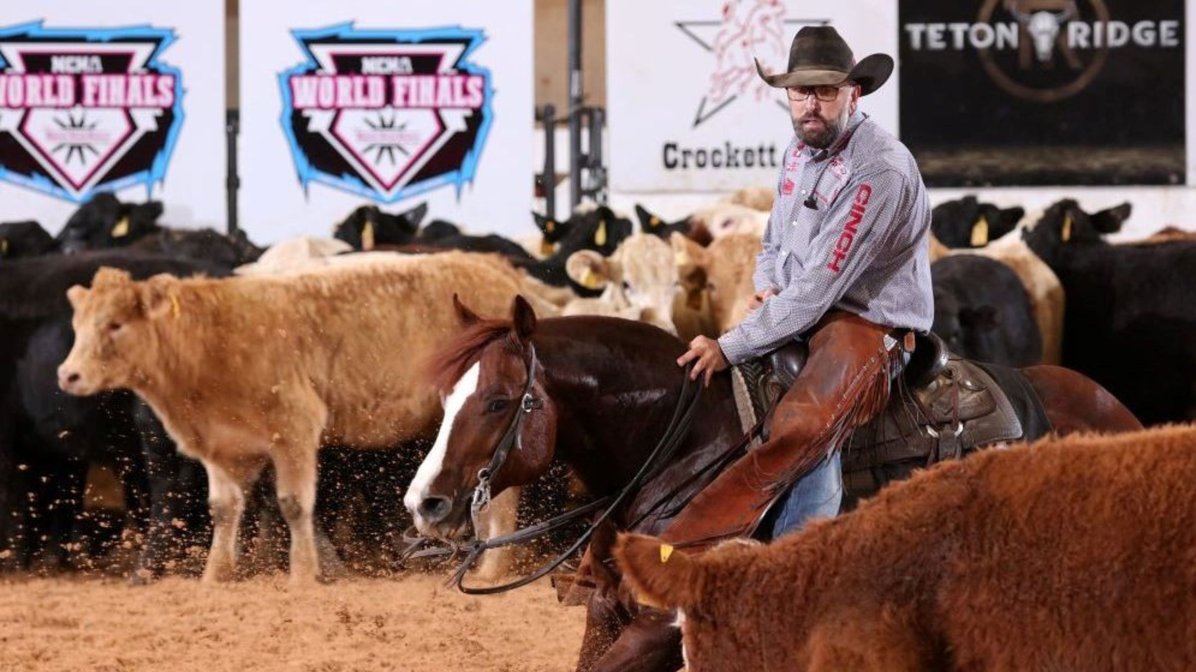NCHA Announces Half Million Dollars Towards NCHA World Finals