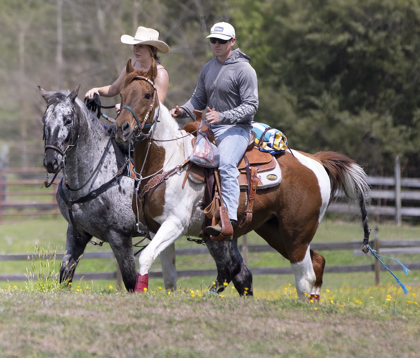 3 Benefits Of Hill Work For Horses