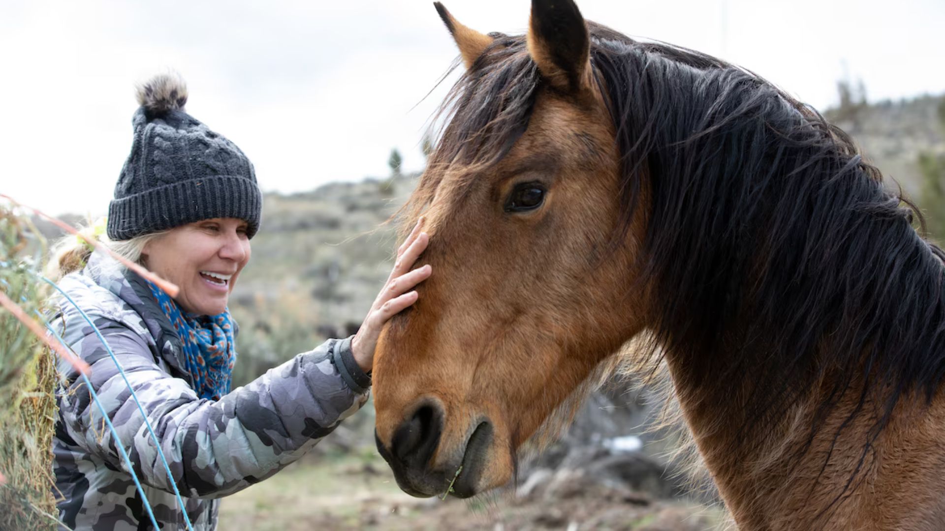 Horse Detective Clare Staples: Reuniting Wild Mustangs With Their Herds