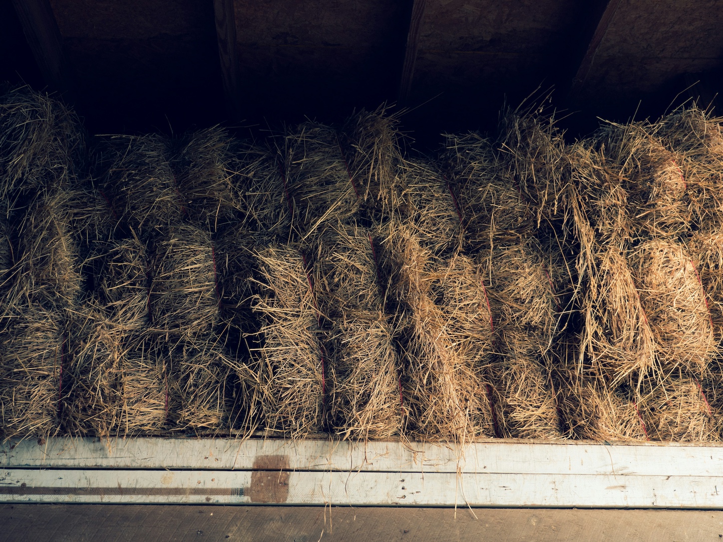 8 Tips For Storing Your Horse's Hay