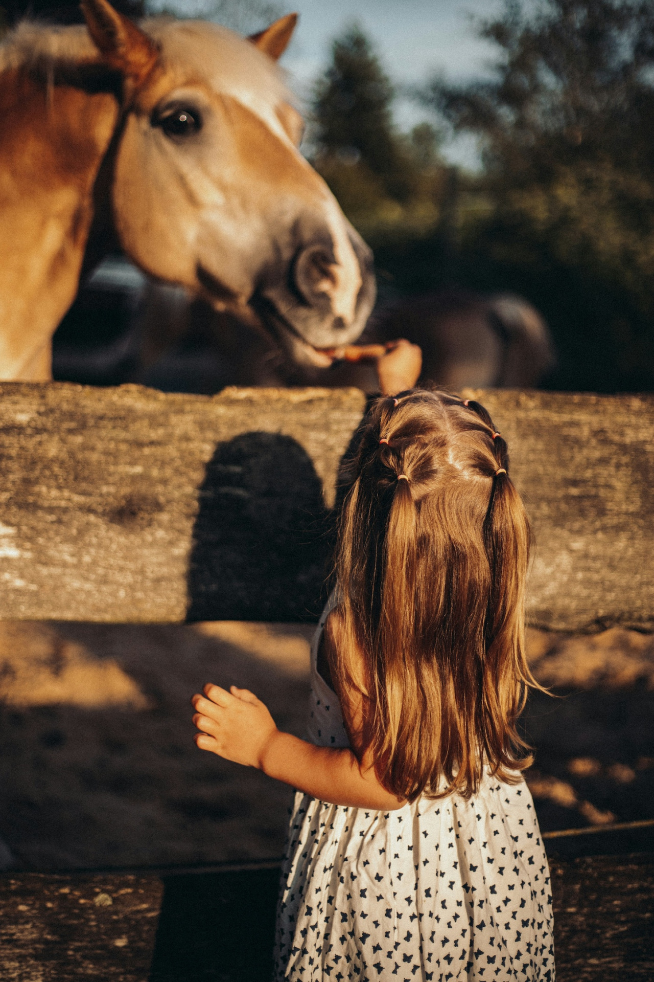 10 Traits Of A Kid-Friendly Horse