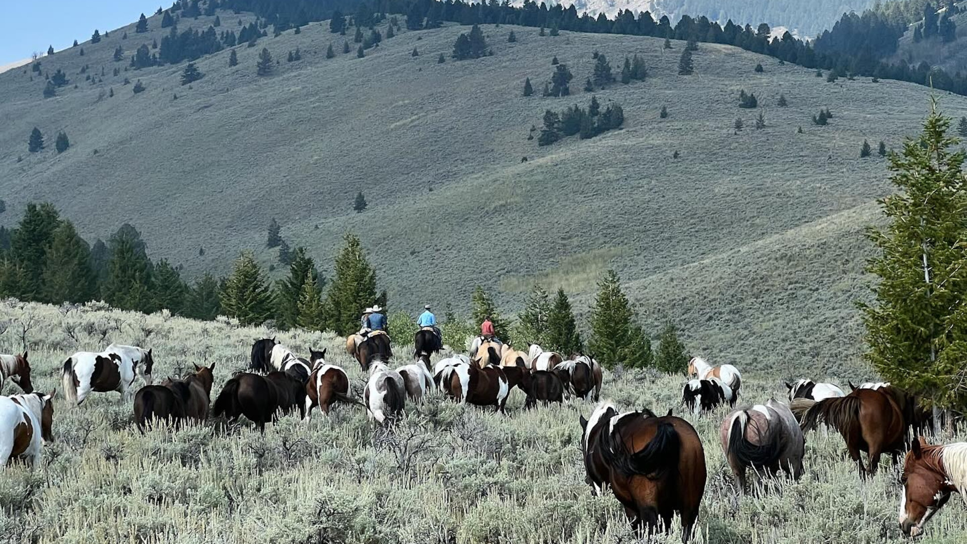 Saddle Up For A Wild Adventure With Silver Spur Ranch