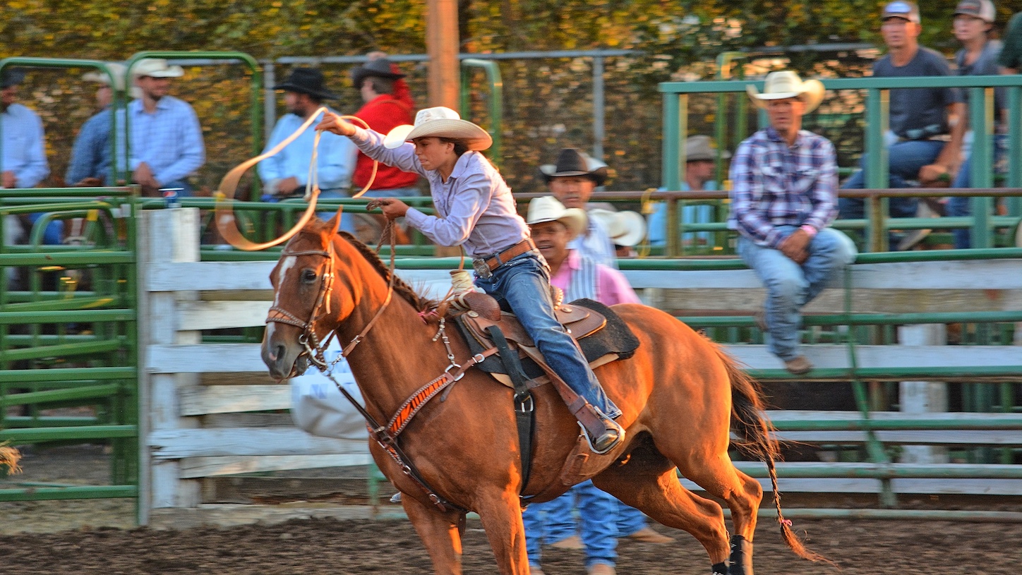 10 Common Team Roping Terms