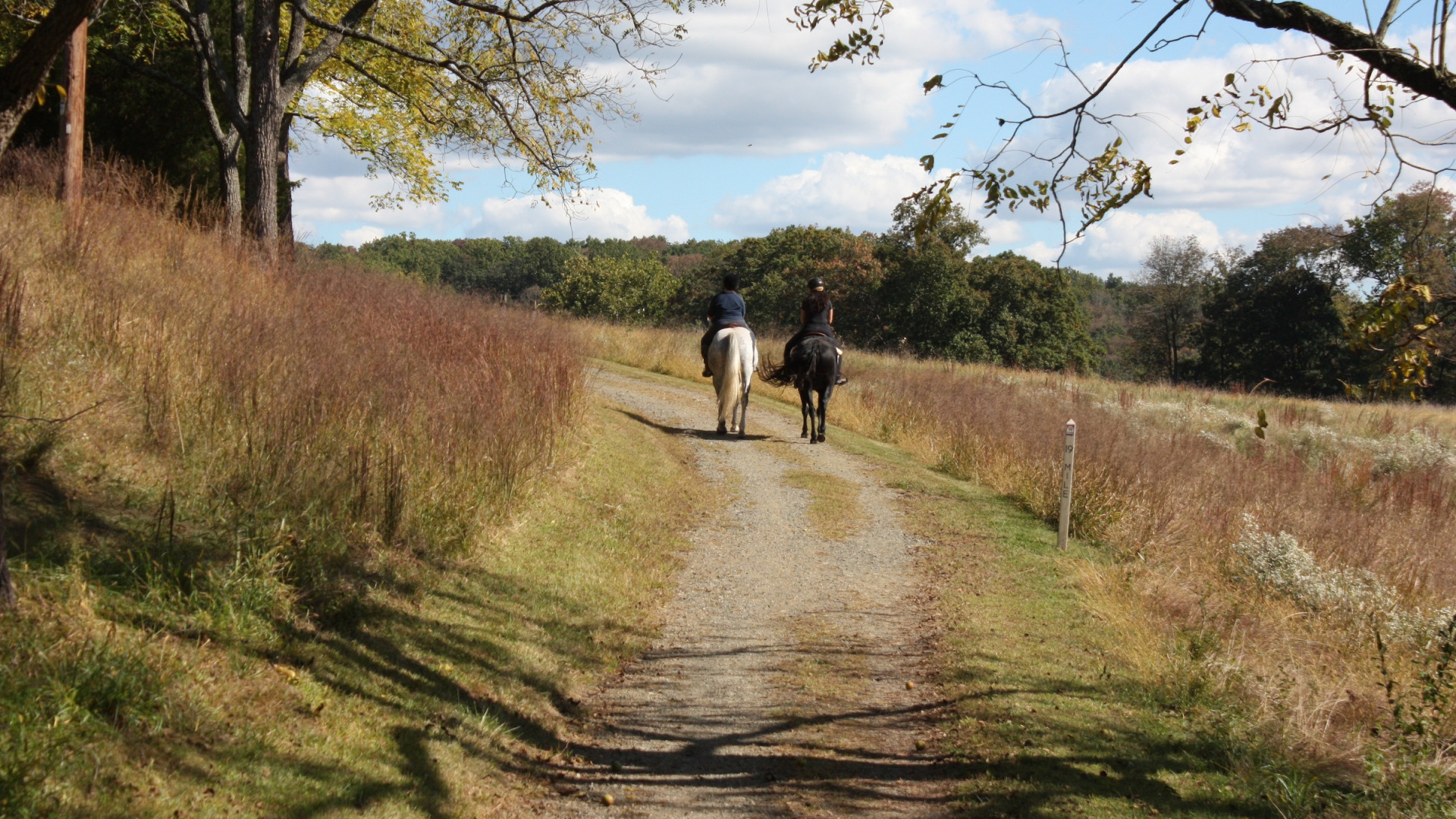 How To Ride Up & Down Hills