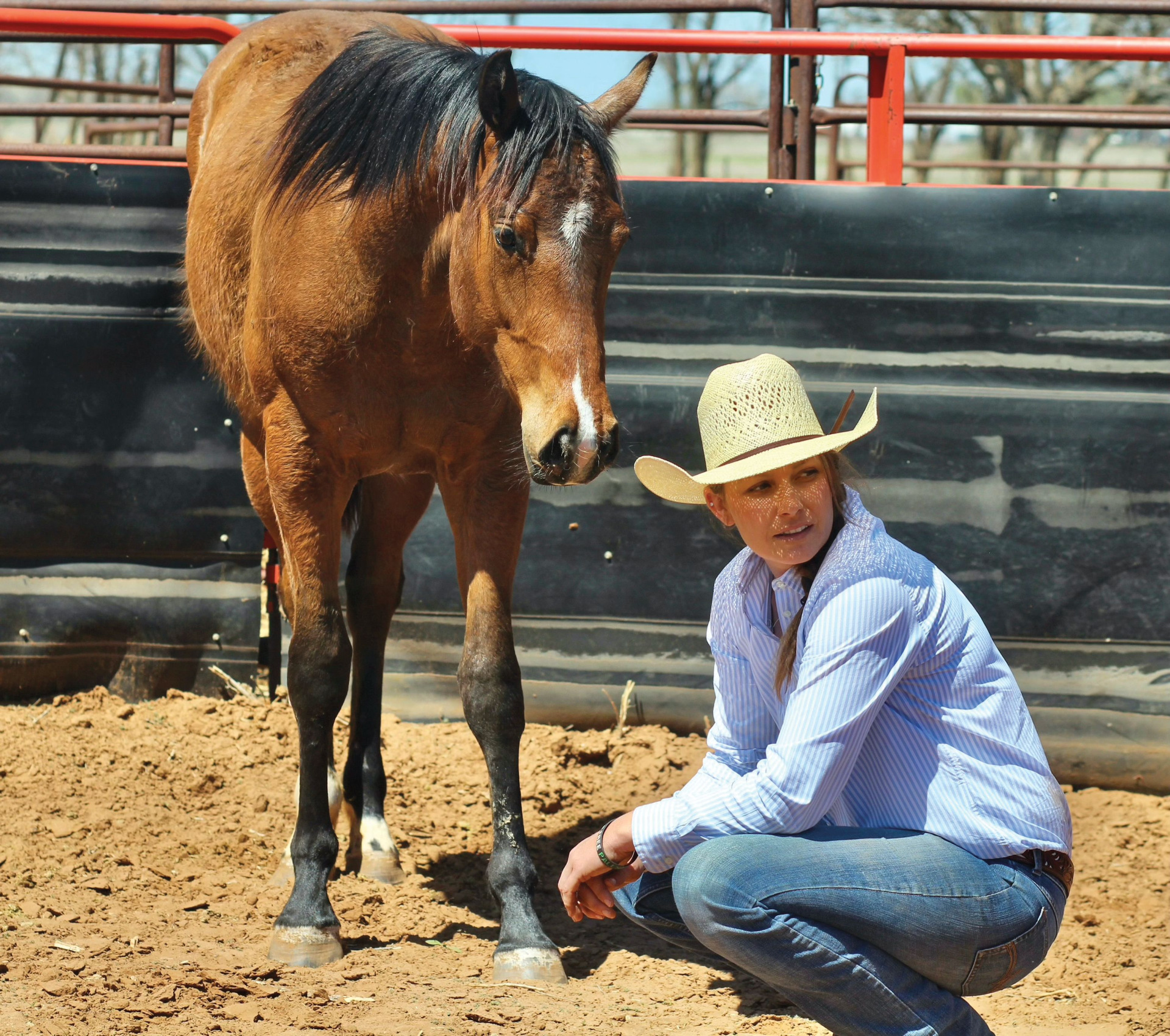 The Art Of Colt Starting With Oklahoma’s Katie Luttrell - More Than Dollars