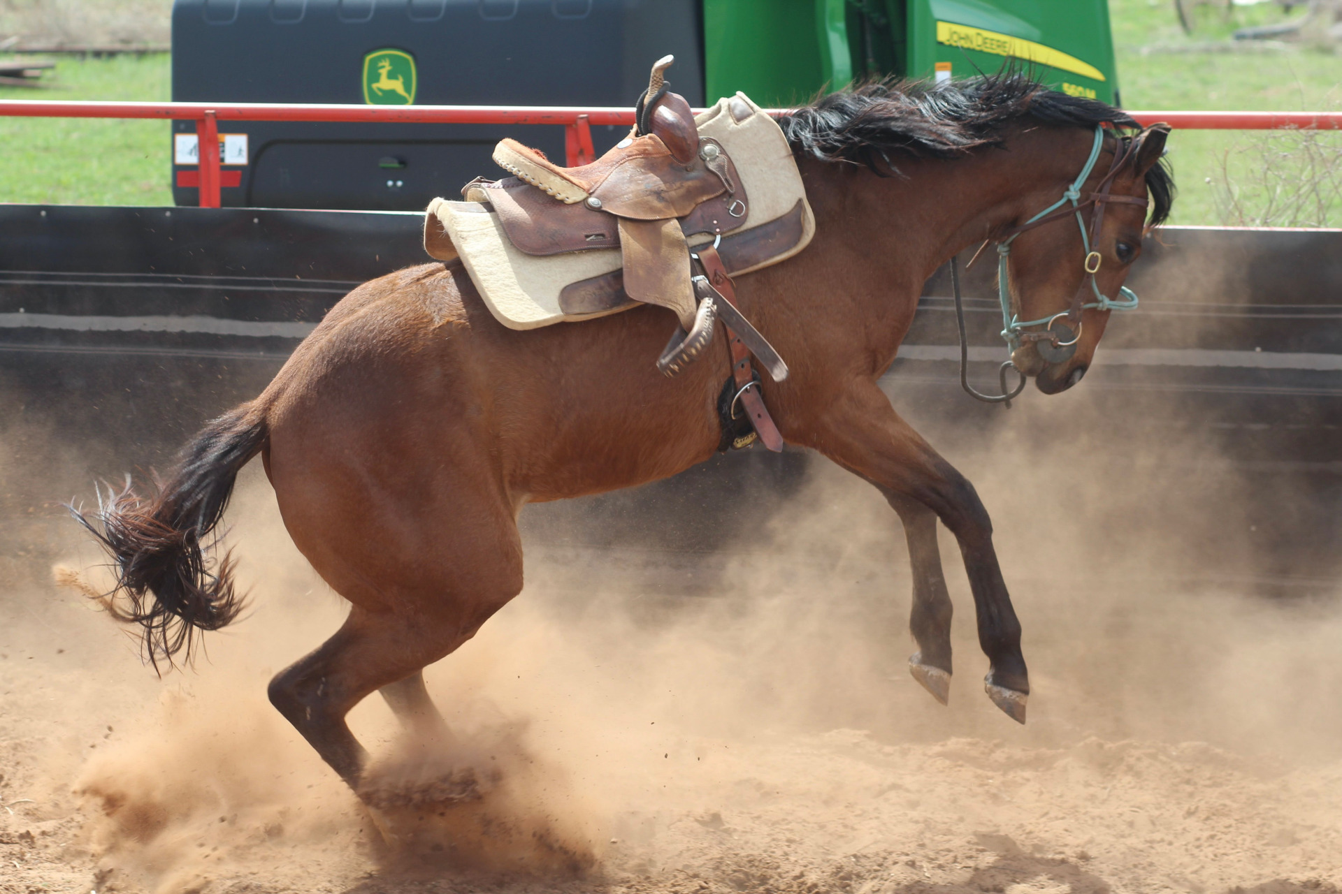 The Art Of Colt Starting With Oklahoma’s Katie Luttrell - More Than Dollars