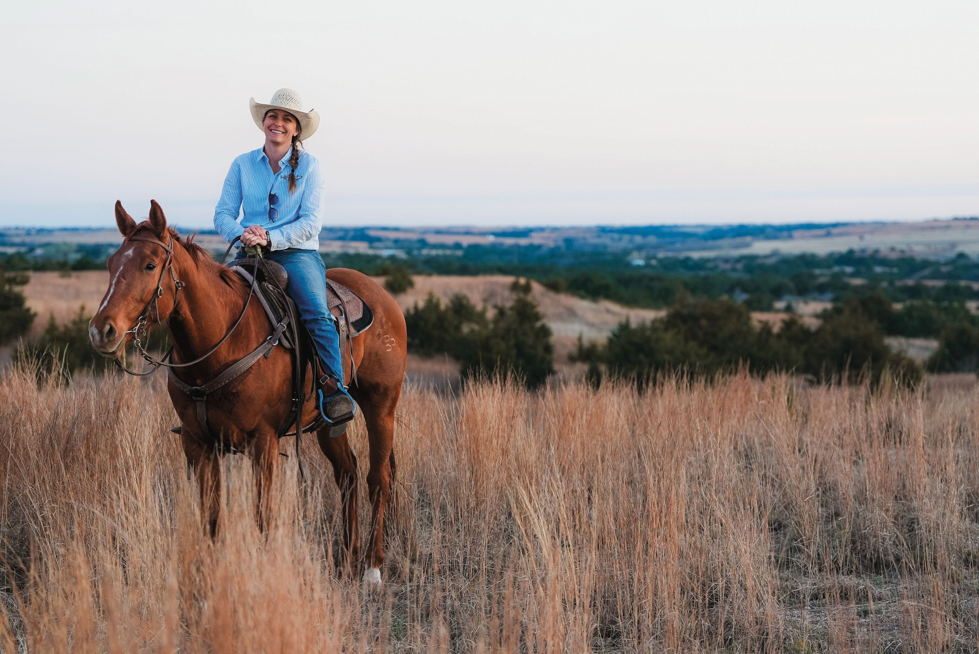 The Art Of Colt Starting With Oklahoma’s Katie Luttrell - More Than Dollars
