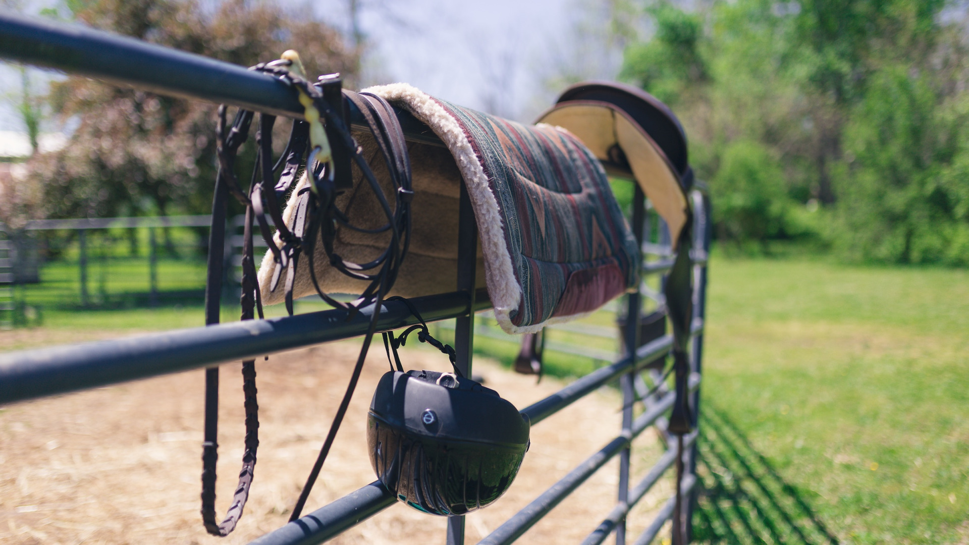 5 Must Have Items For Beginner Riders