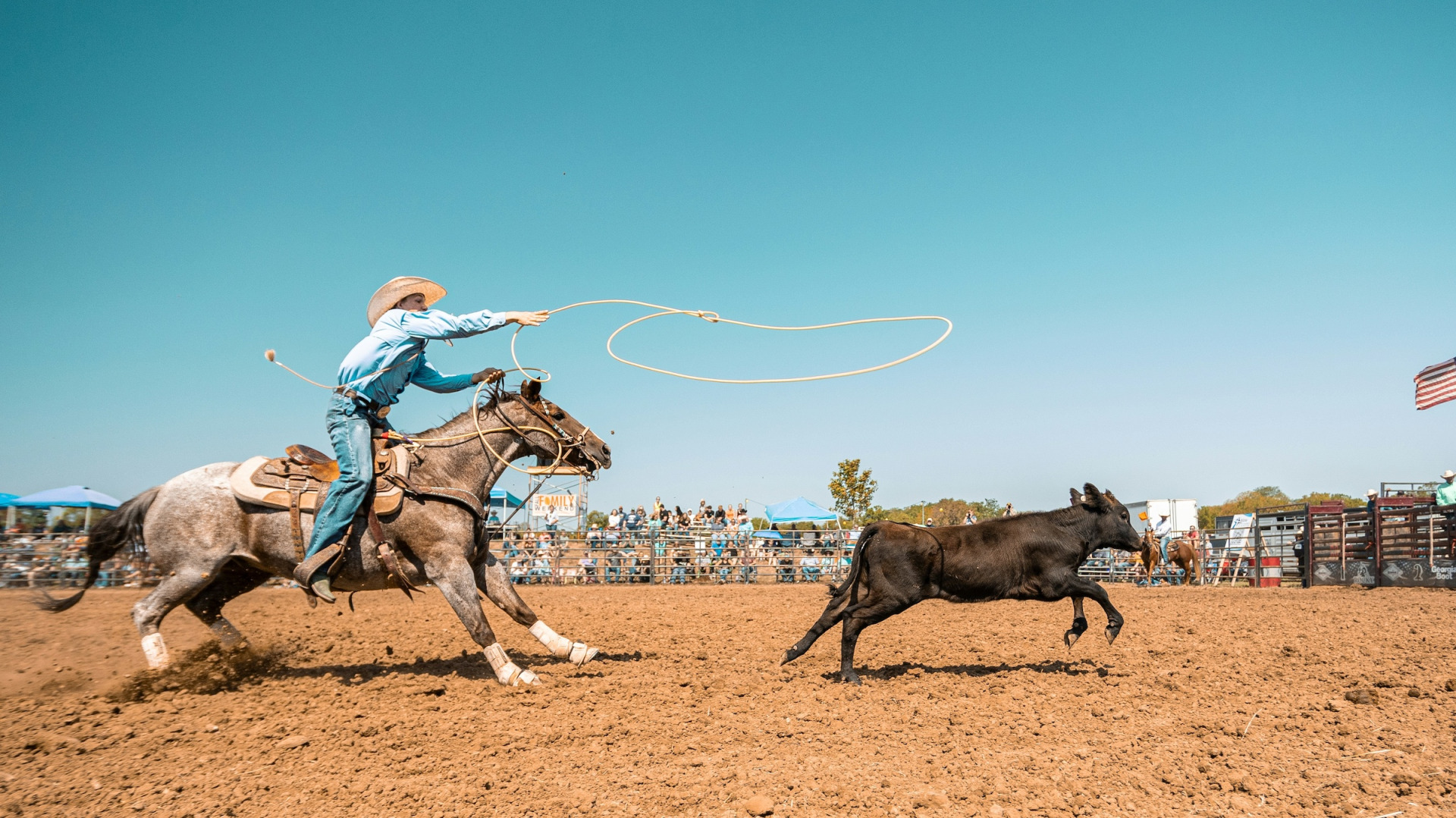 How To Prep A Horse For Roping