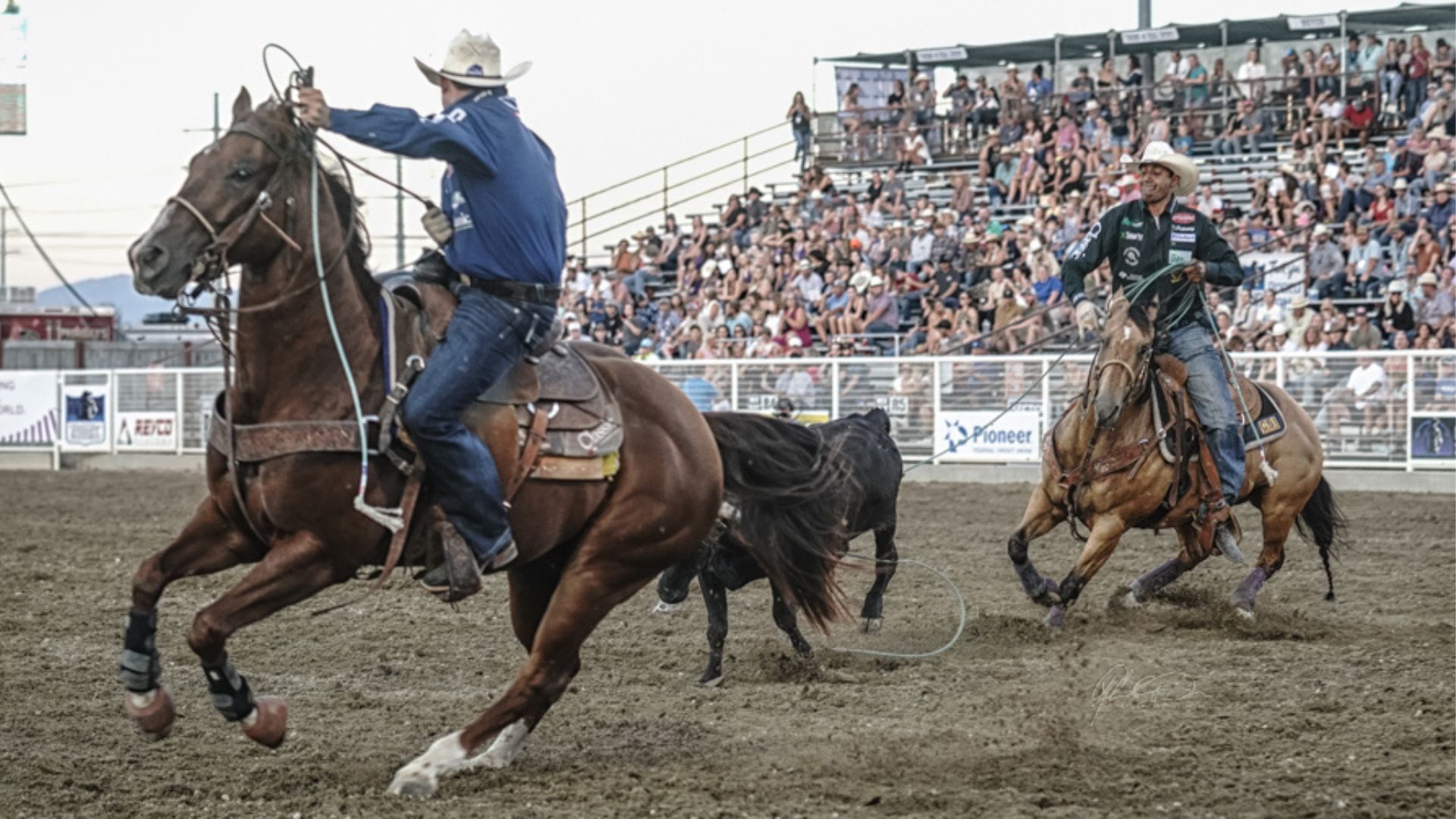 Unveiling The Team Roping Pairs For The 2024 Wrangler National Finals Rodeo
