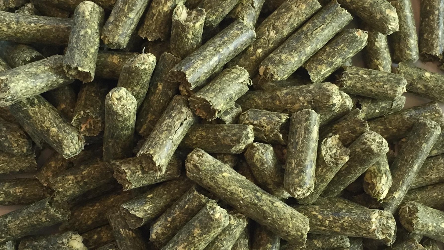 What Are Hay Pellets?