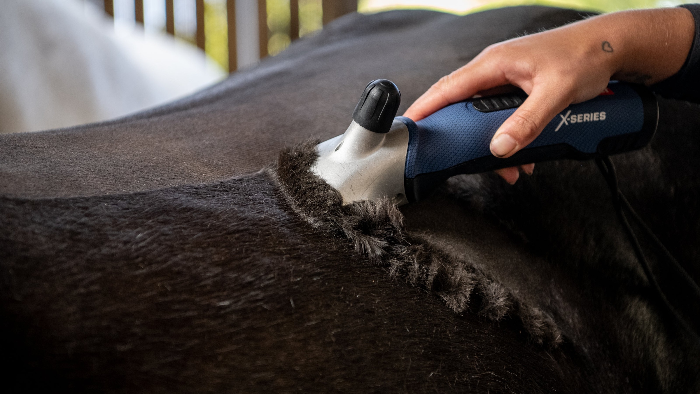 All About Clipper Blades