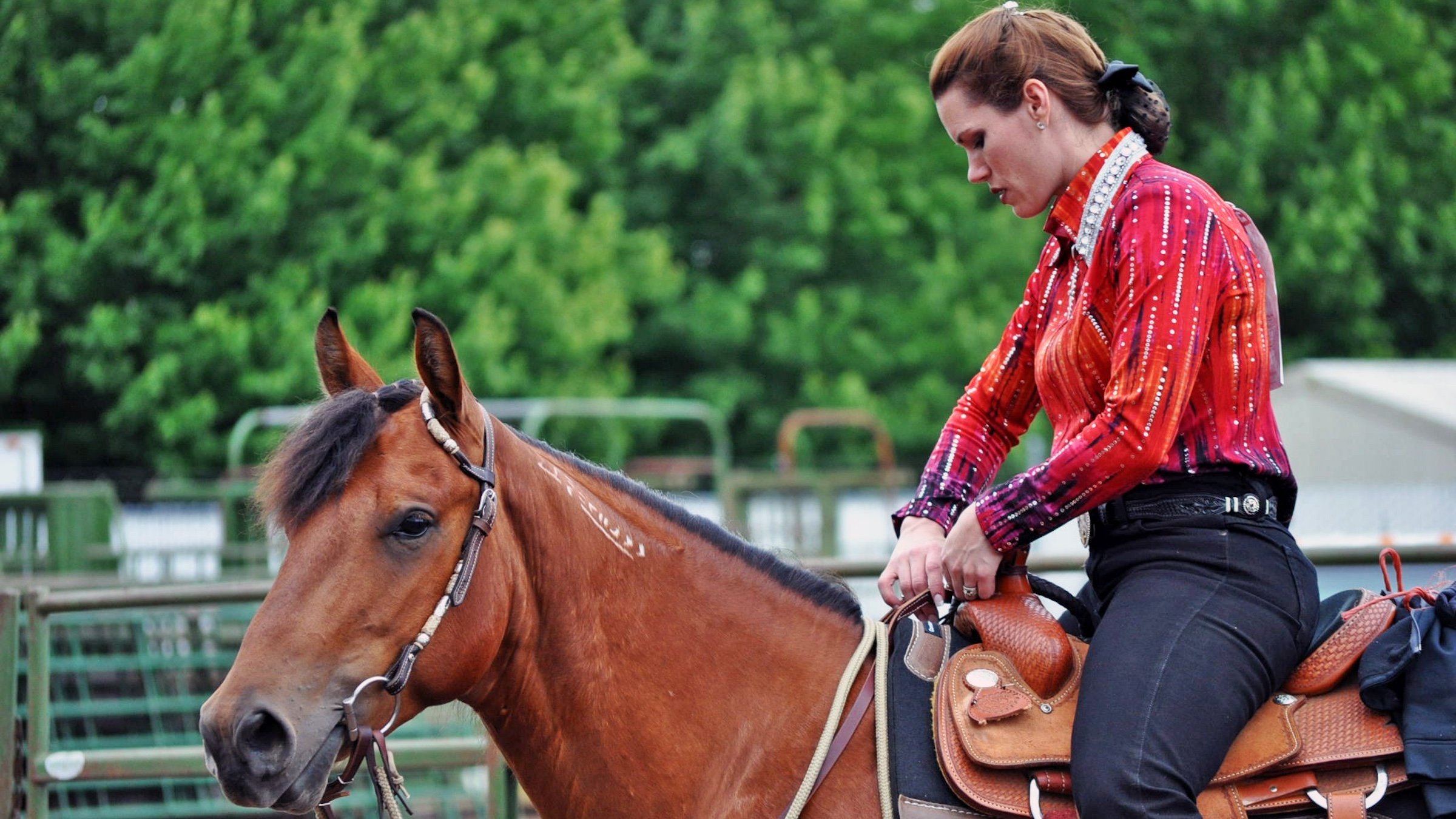 5 Fun Facts About The Mustang Challenge