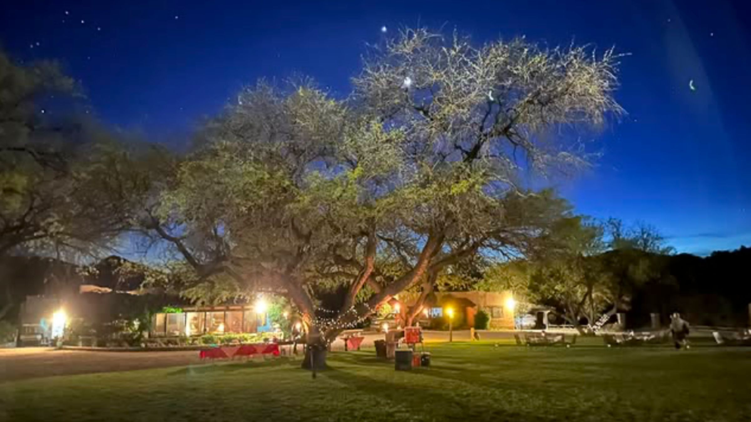 Exploring Arizona's Oldest Guest Ranch: Circle Z Ranch