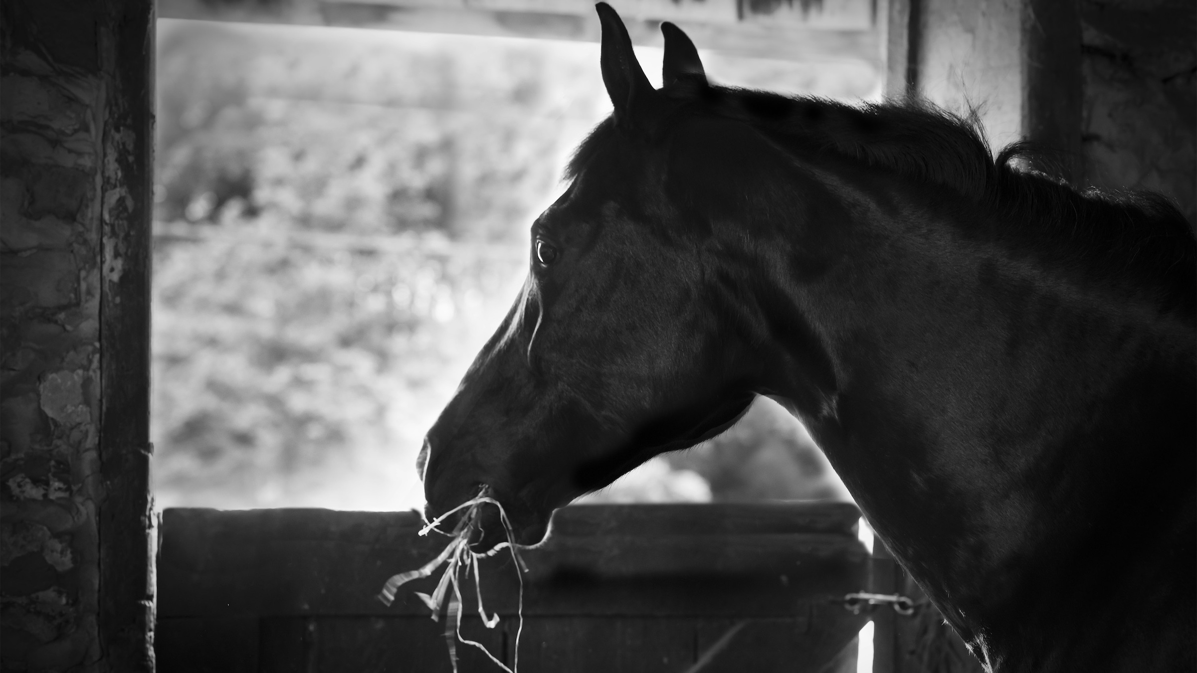 5 Must-Have Accessories For Your Stall Front