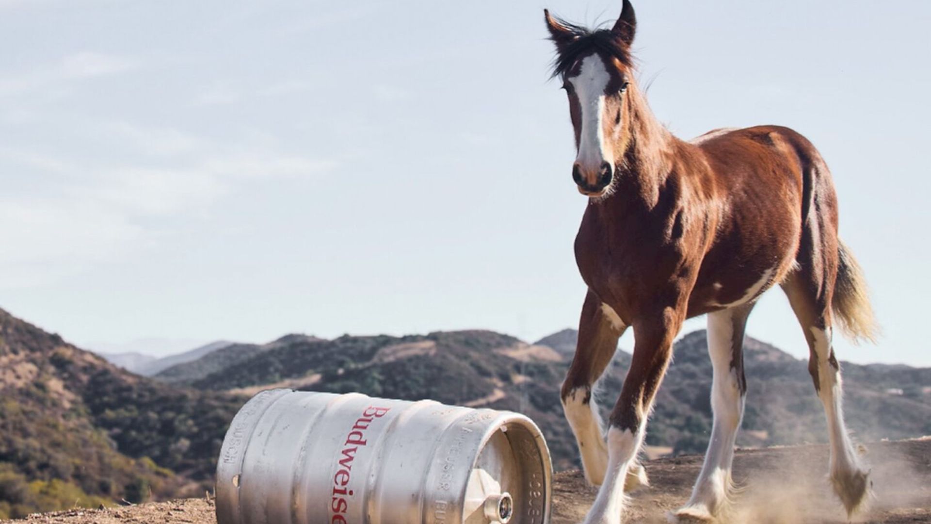Budweiser Brings Back The Clydesdales—And A Country Music Classic