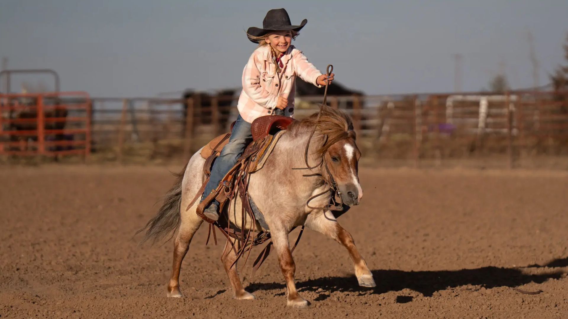 This Adorable Pony Will Steal Your Heart