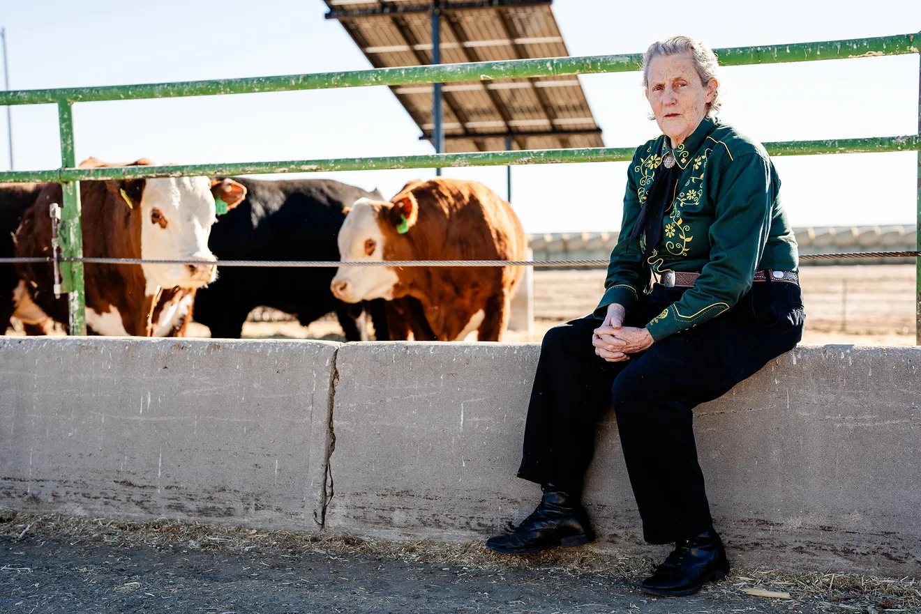 Temple Grandin Named One Of USA TODAY’s 2025 Women Of The Year