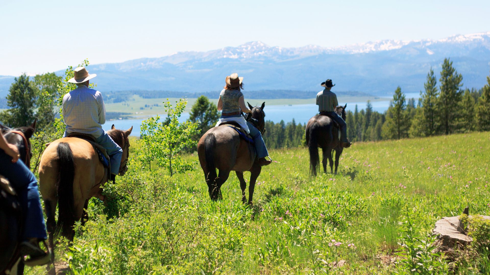 How To Prepare For Spring Riding