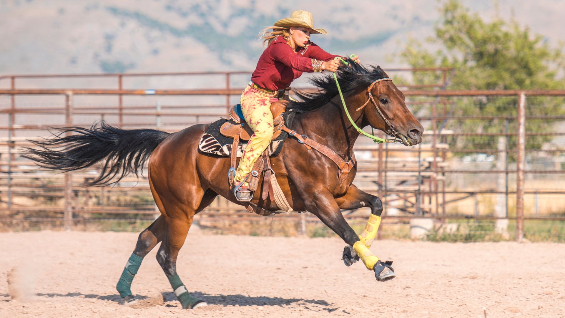 How To Tell If Your Horse Enjoys Being Ridden