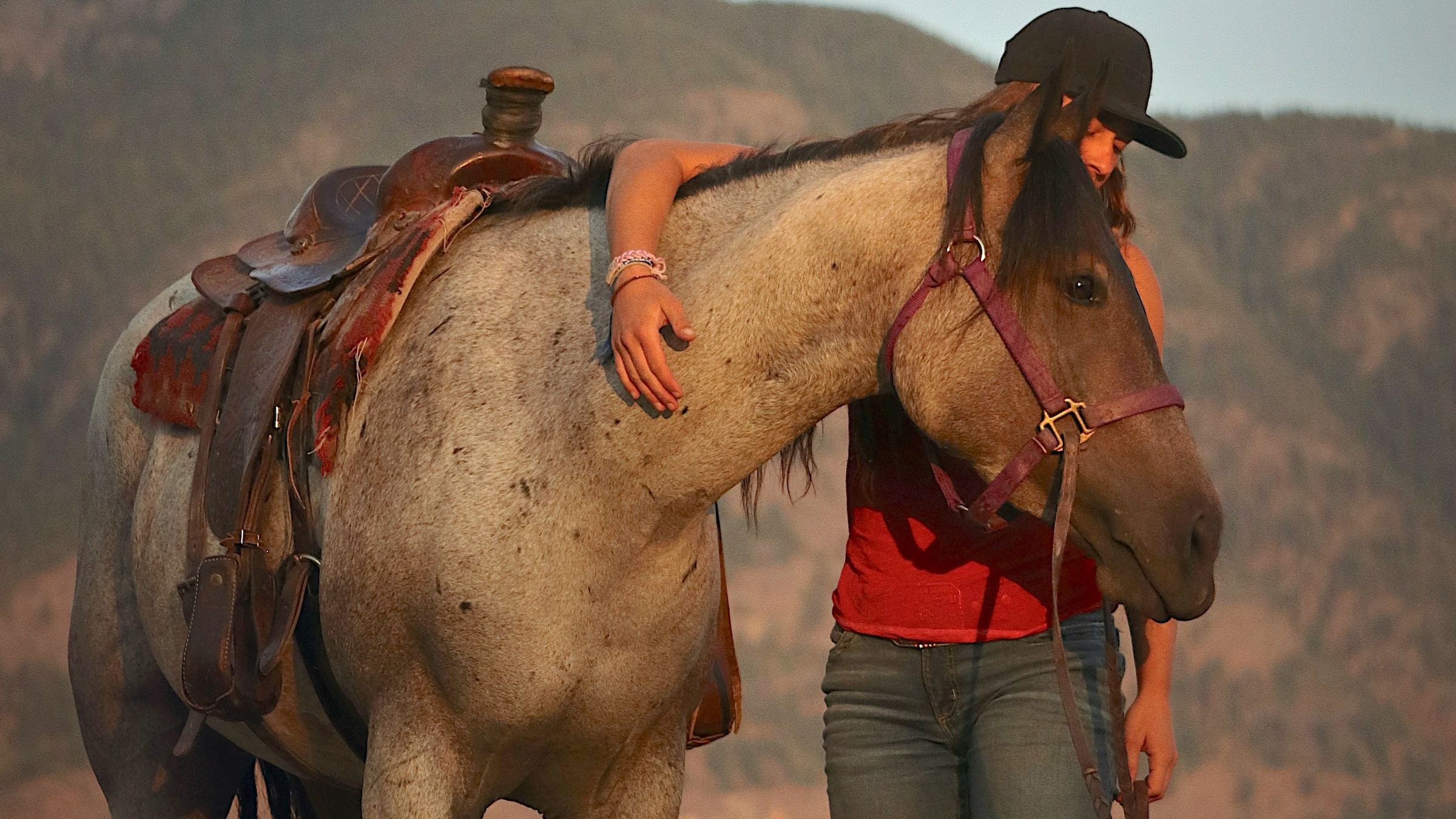 A Beginner's Guide To Western Riding