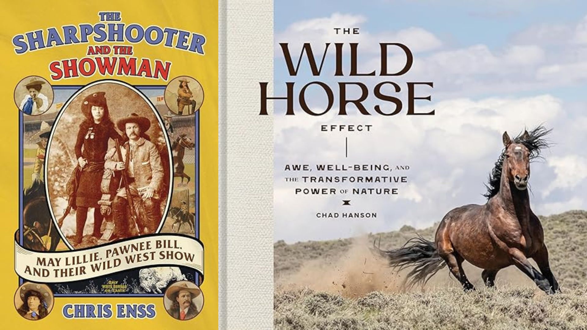 4 Western Reads Every Cowgirl Should Know About