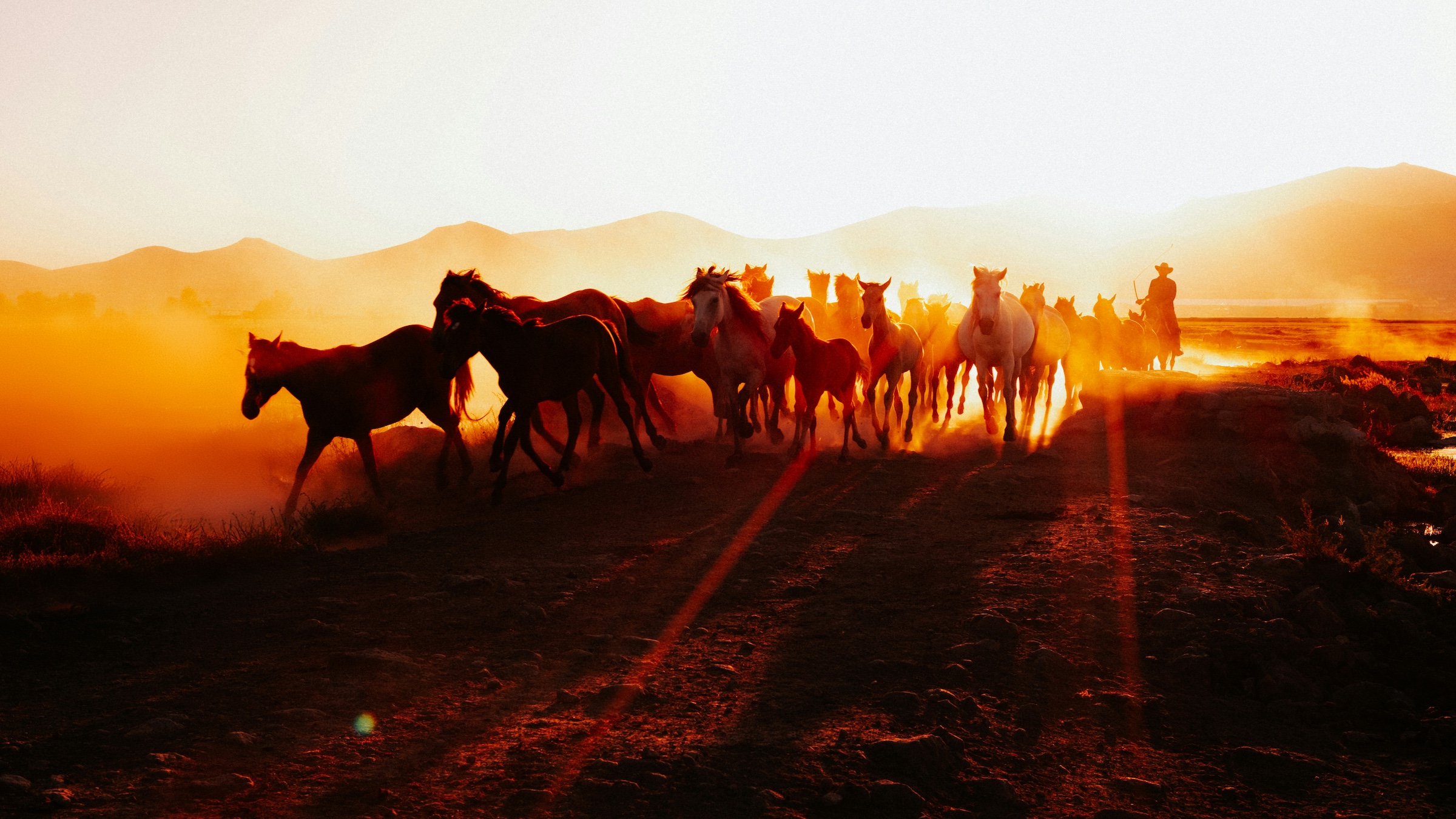Old-Time Western Slang