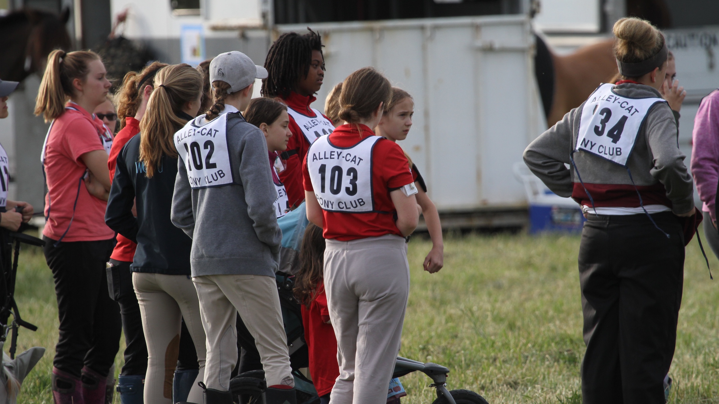 5 Fun Facts About Pony Club