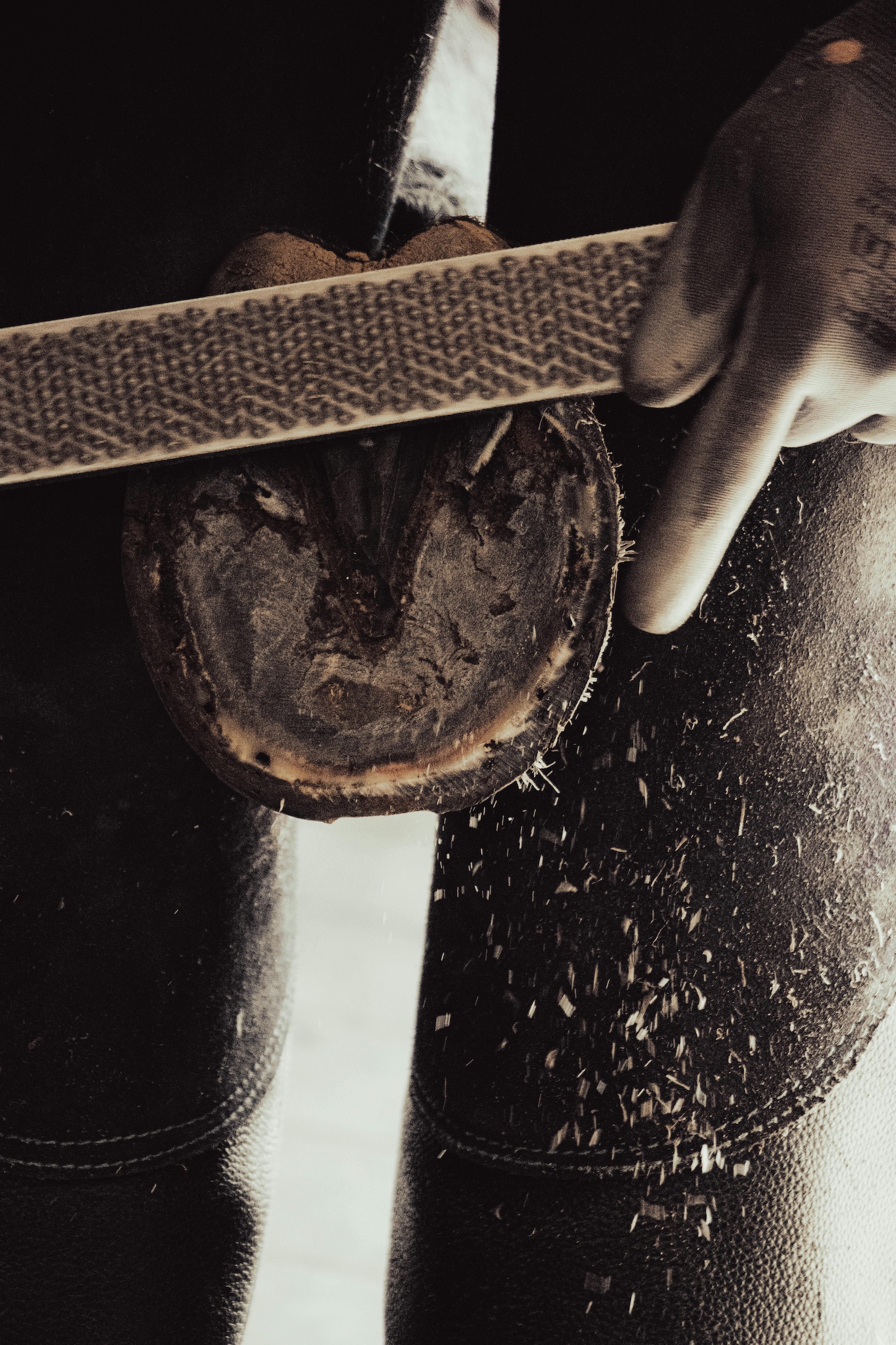 10 Desirable Traits Of Farriers