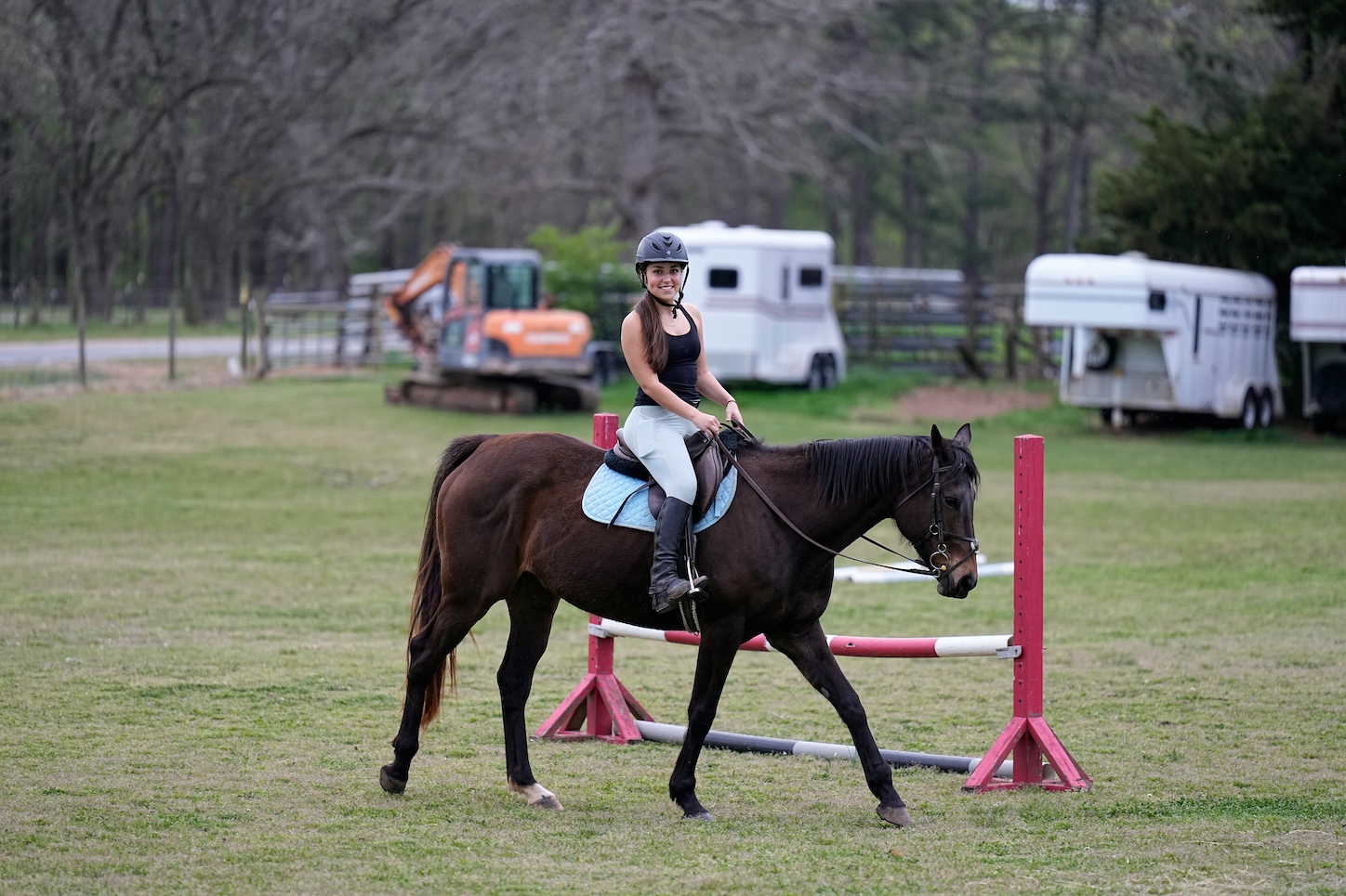 The Ultimate Showdown: Quarter Horses Vs Thoroughbreds