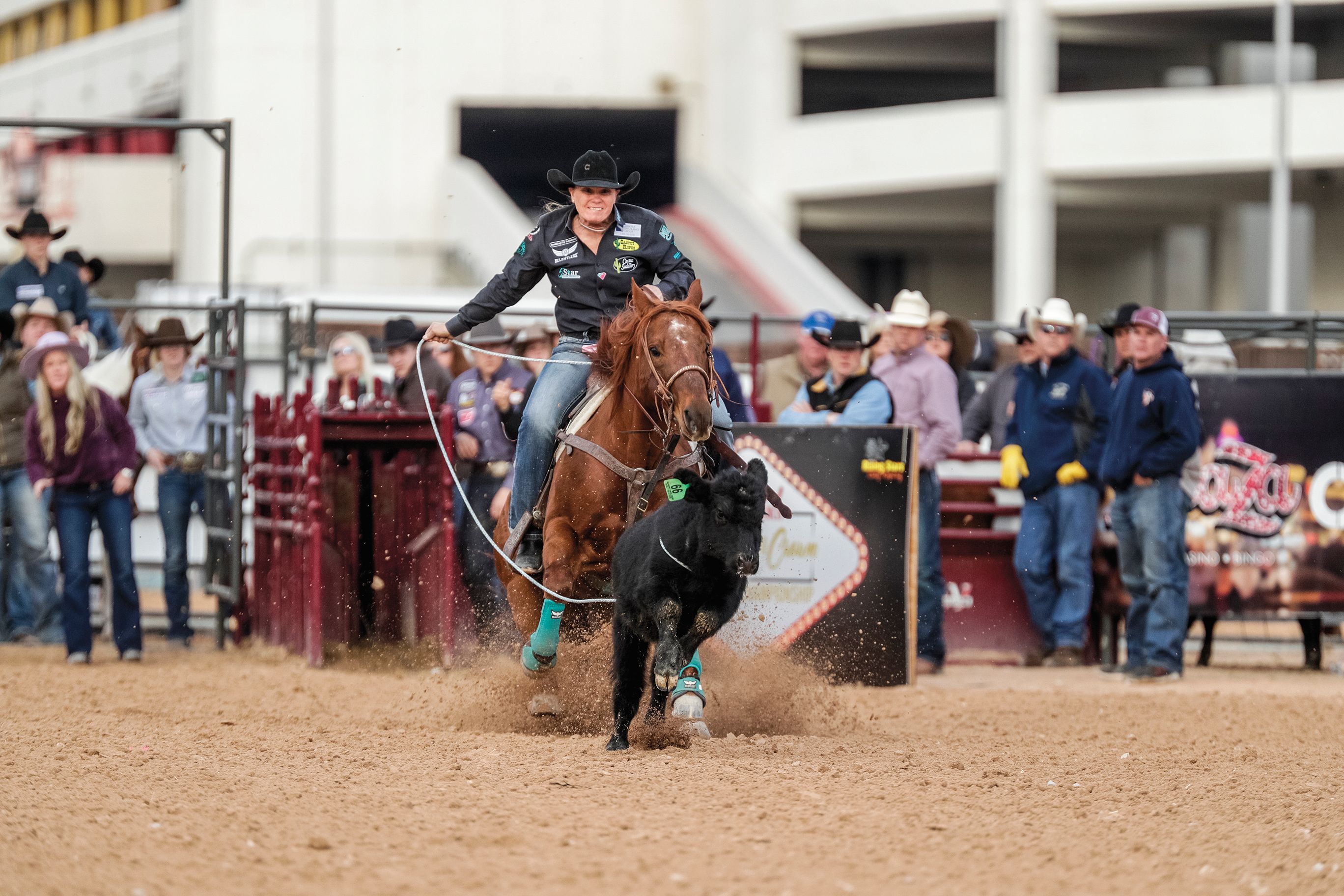 Legends: 10 Horses That Defined a Decade of Women’s Rodeo