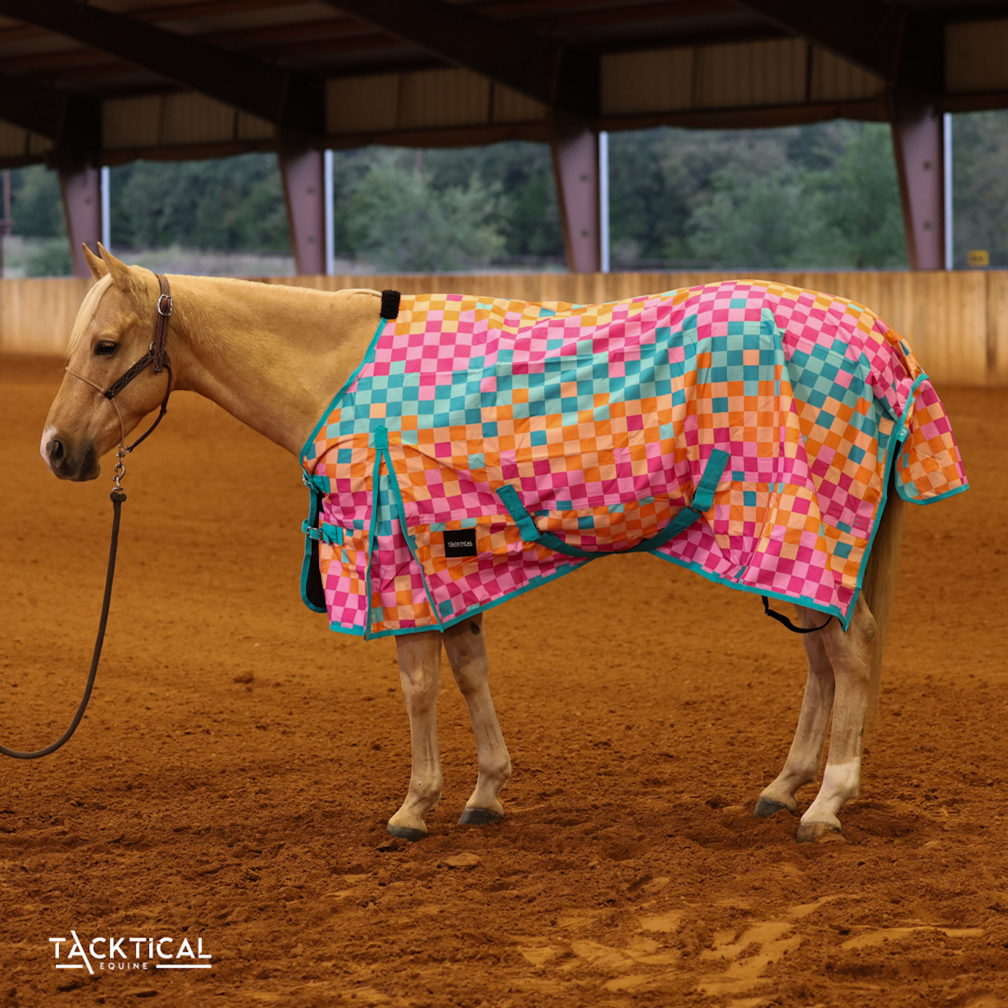 Keep Your Horse Cozy With A Fun Turnout Sheet