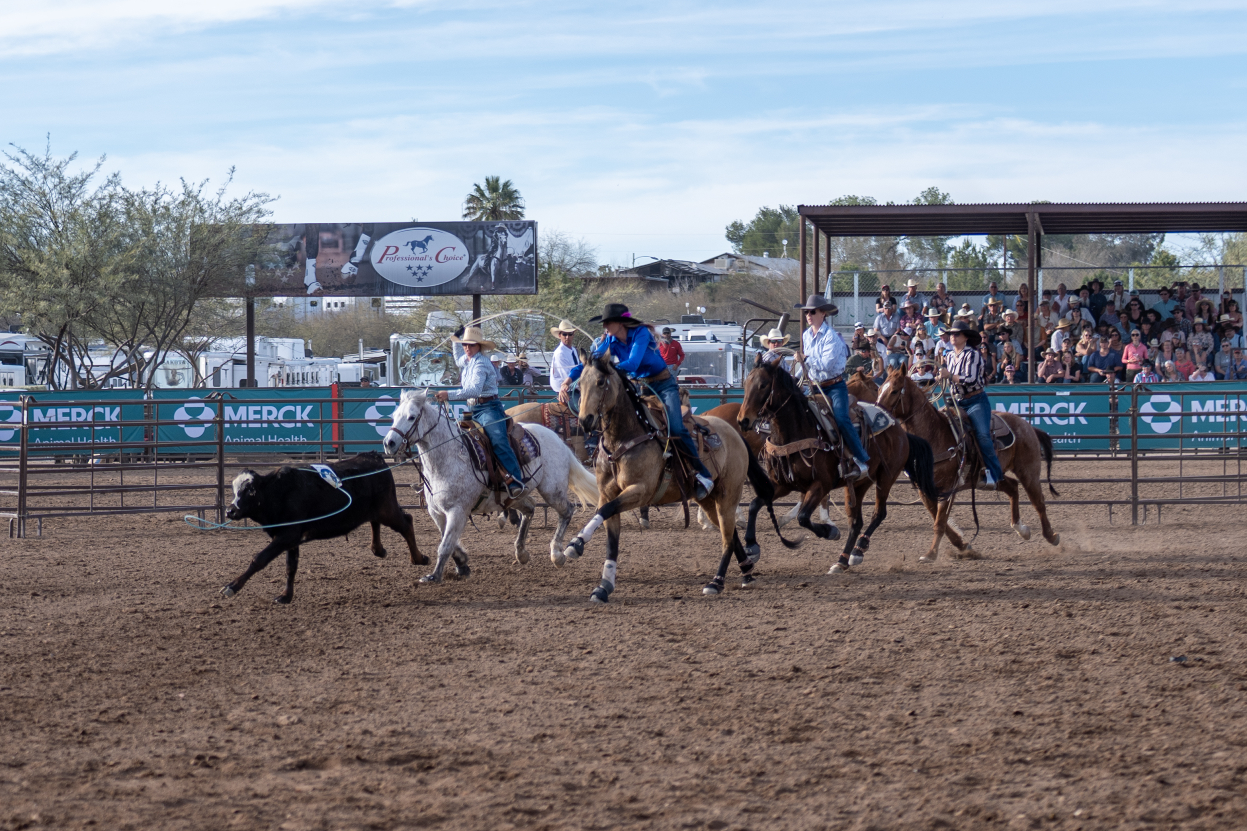 Art of the Cowgirl 2026 Results: Ranch Rodeo Champions, Colt Starting ...